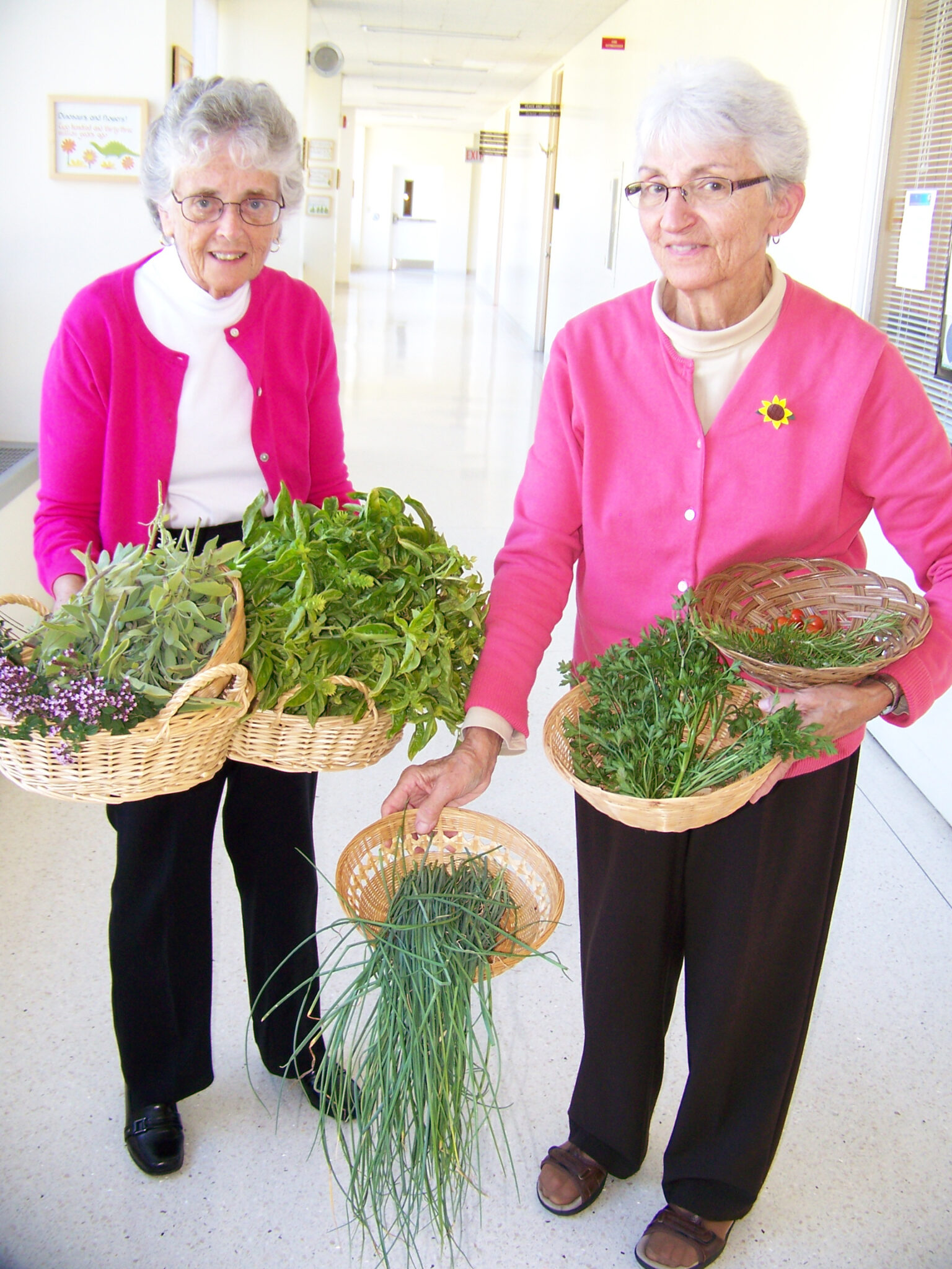 Earth Ministries – Sisters of St. Joseph of Springfield